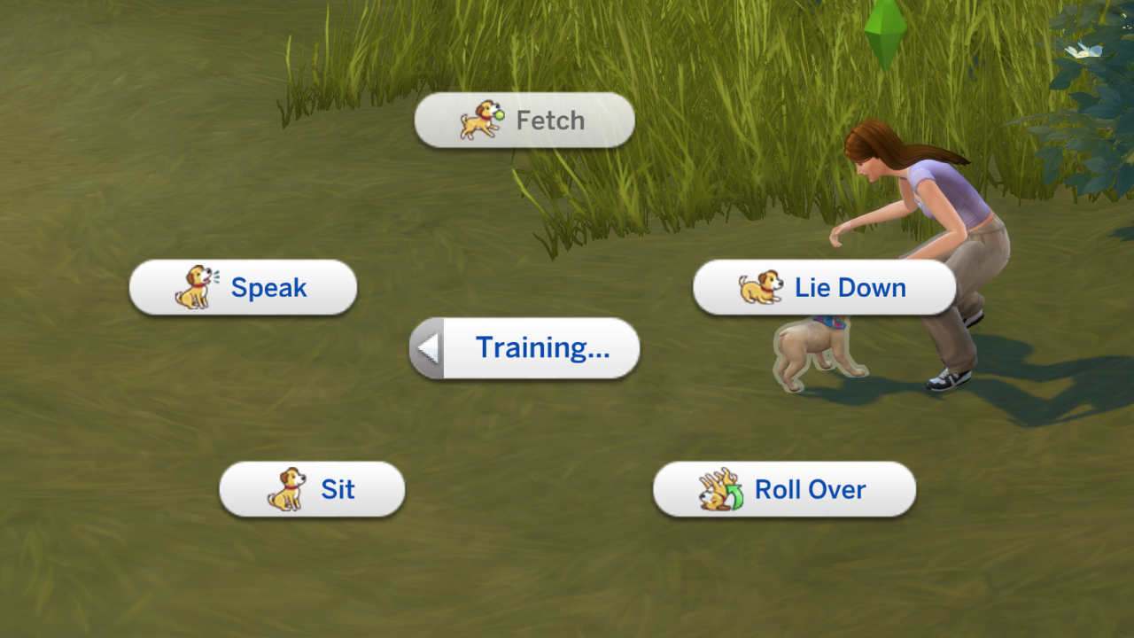 How to Gain The Pet Training Skill in The Sims 4 - Simming Simplified