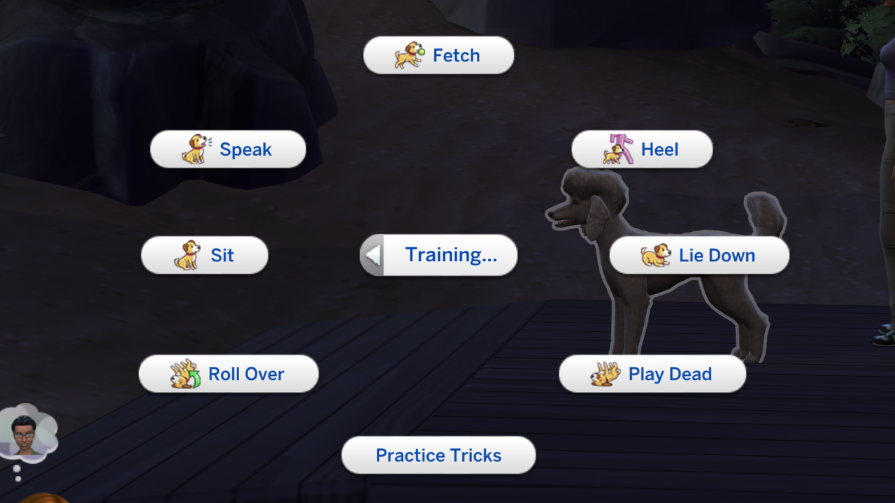 How to Gain The Pet Training Skill in The Sims 4 - Simming Simplified