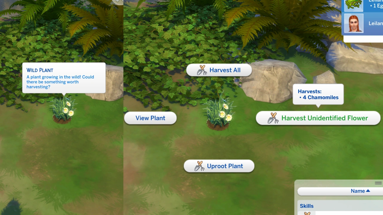 How to Gain The Herbalism Skill in The Sims 4 - Simming Simplified