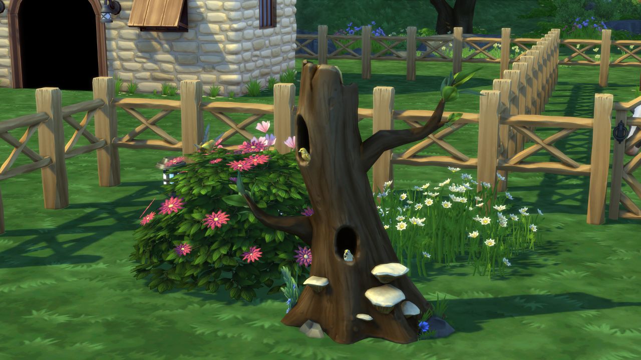 How to Get Wild Birds in The Sims 4 - Simming Simplified