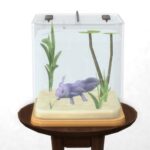 How to Get Axolotls in The Sims 4 - Simming Simplified