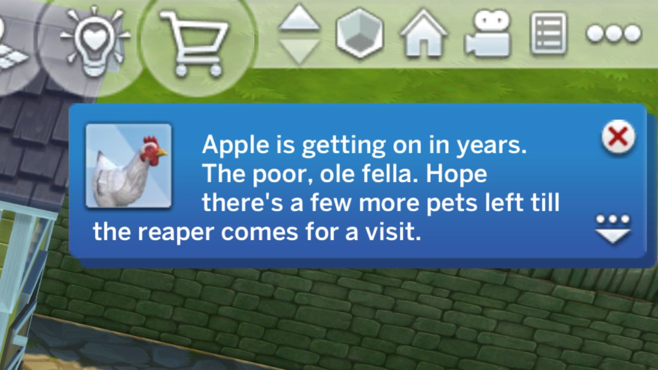 How to Care for Chickens in The Sims 4 - Simming Simplified