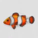 How to Catch Each Fish in The Sims 4 - Simming Simplified