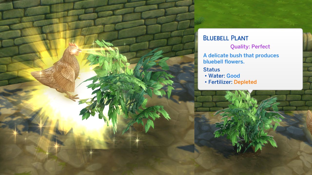 How to Get a Golden Chicken in The Sims 4 - Simming Simplified