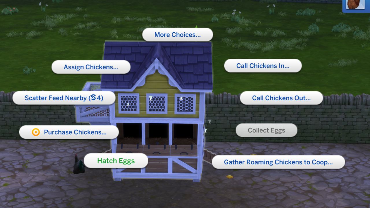How to Care for Chickens in The Sims 4 - Simming Simplified