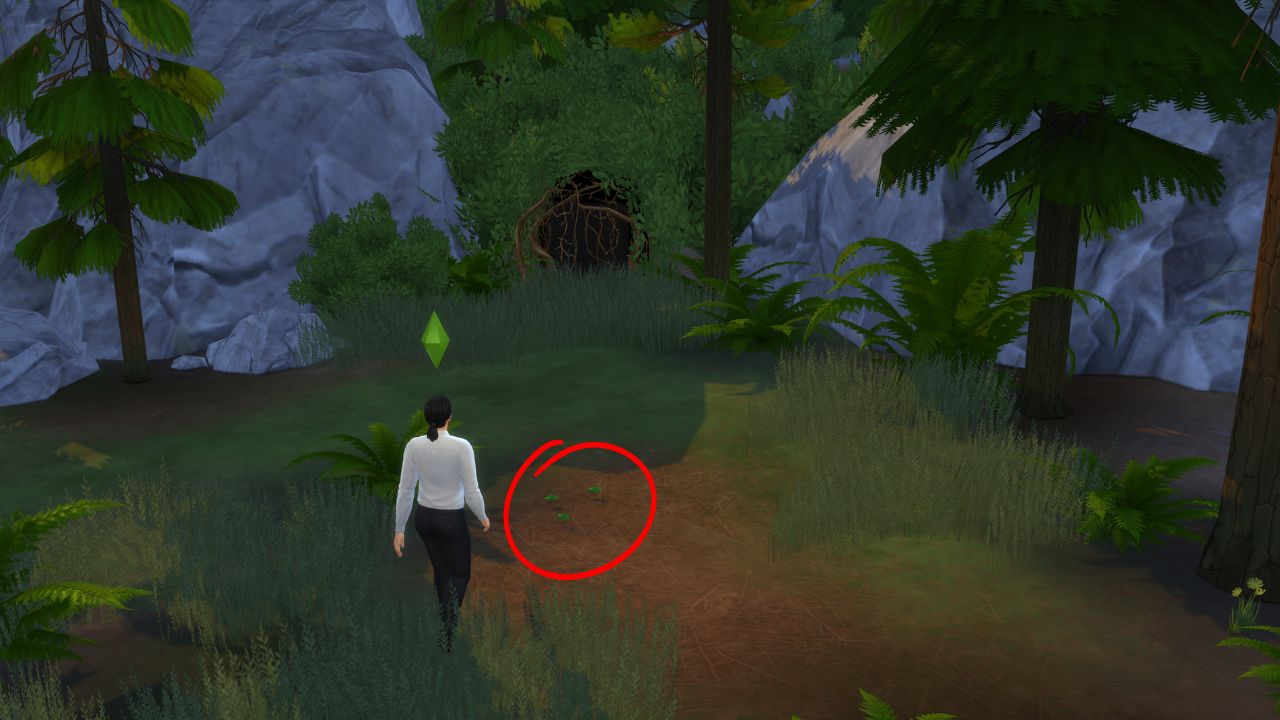 Where to Find Each Insect Location in The Sims 4 - Simming Simplified