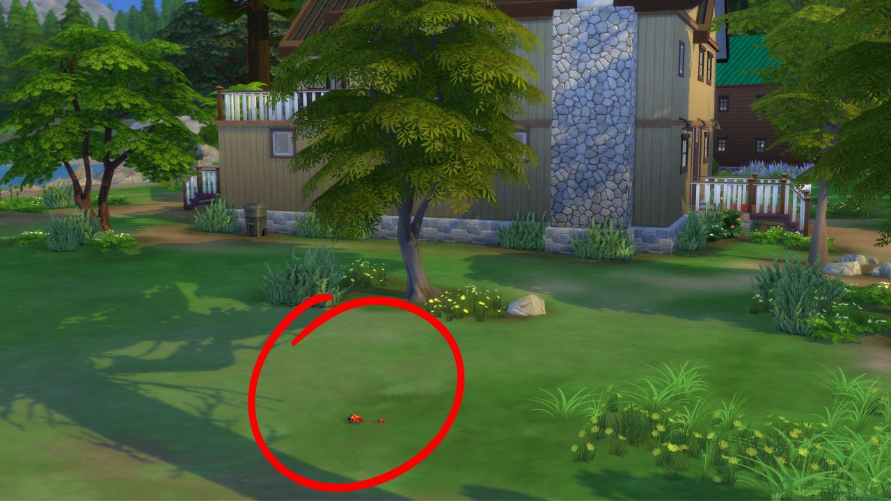 Where to Find Each Insect Location in The Sims 4 - Simming Simplified