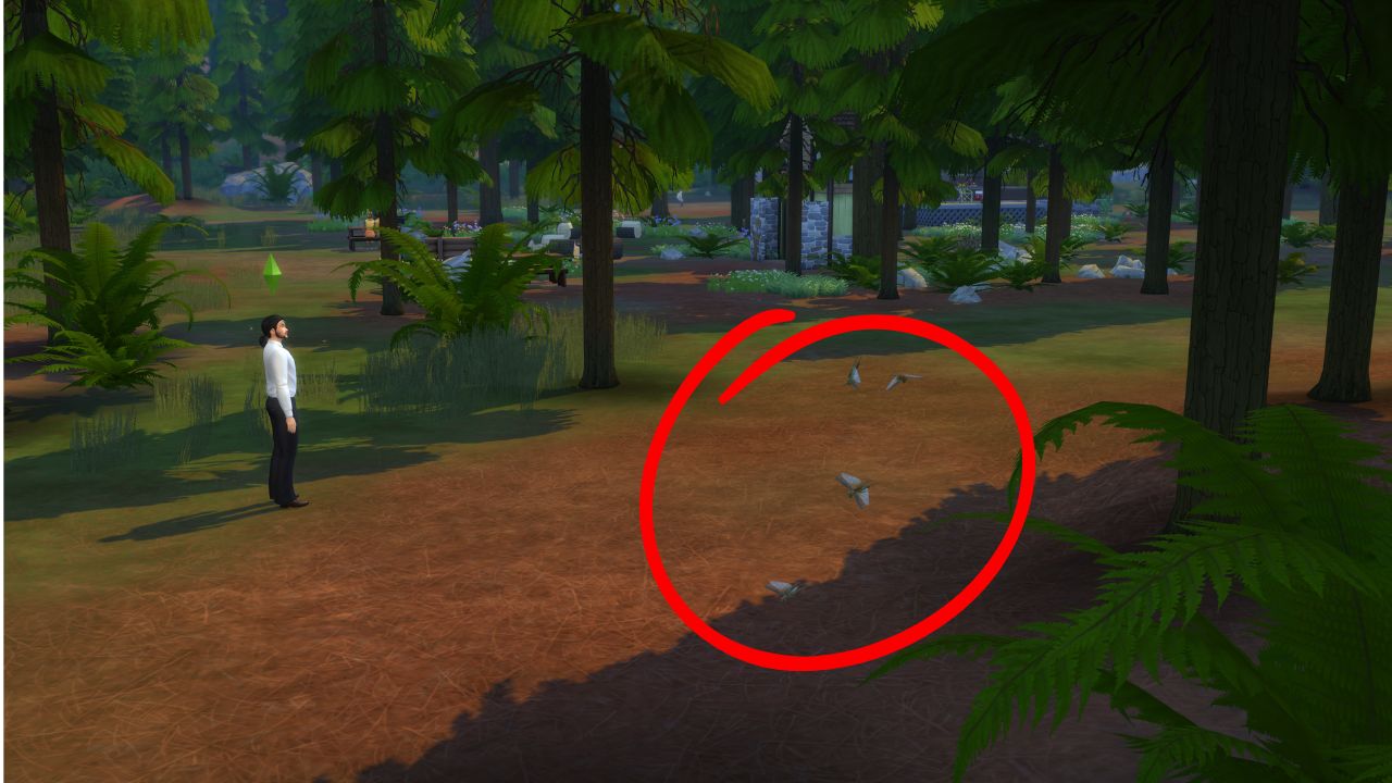 Where to Find Each Insect Location in The Sims 4 - Simming Simplified